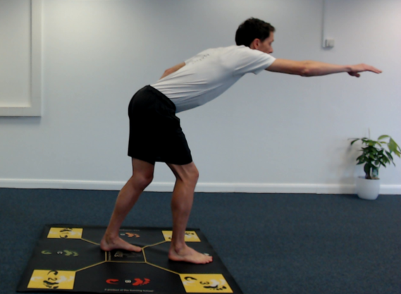 Dynamic Core - Foundation 1 | Optimal Movement
