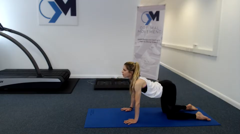 Yoga Flow - Spinal Mobility | Optimal Movement
